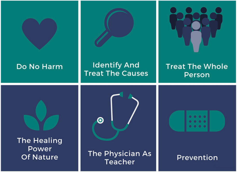 What is Naturopathic Medicine – Dr. Ellen Millard